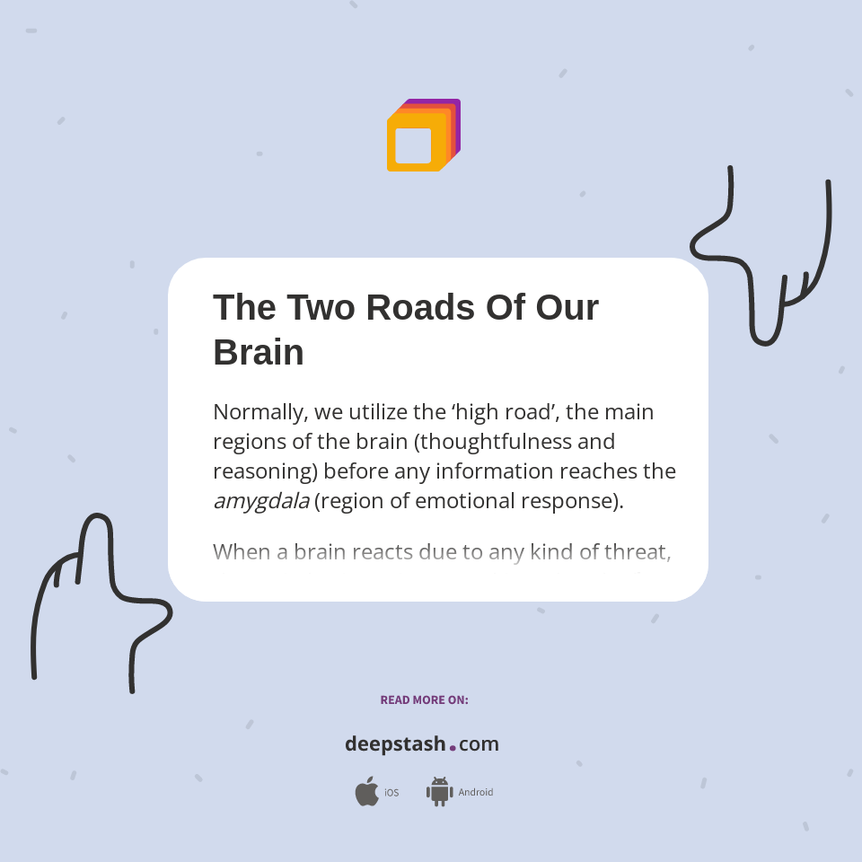The Two Roads Of Our Brain - Deepstash