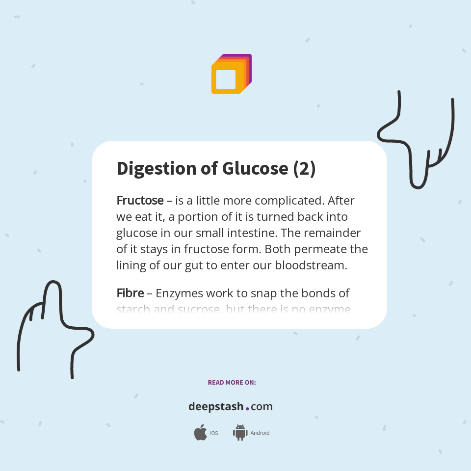 Digestion of Glucose (2) - Deepstash