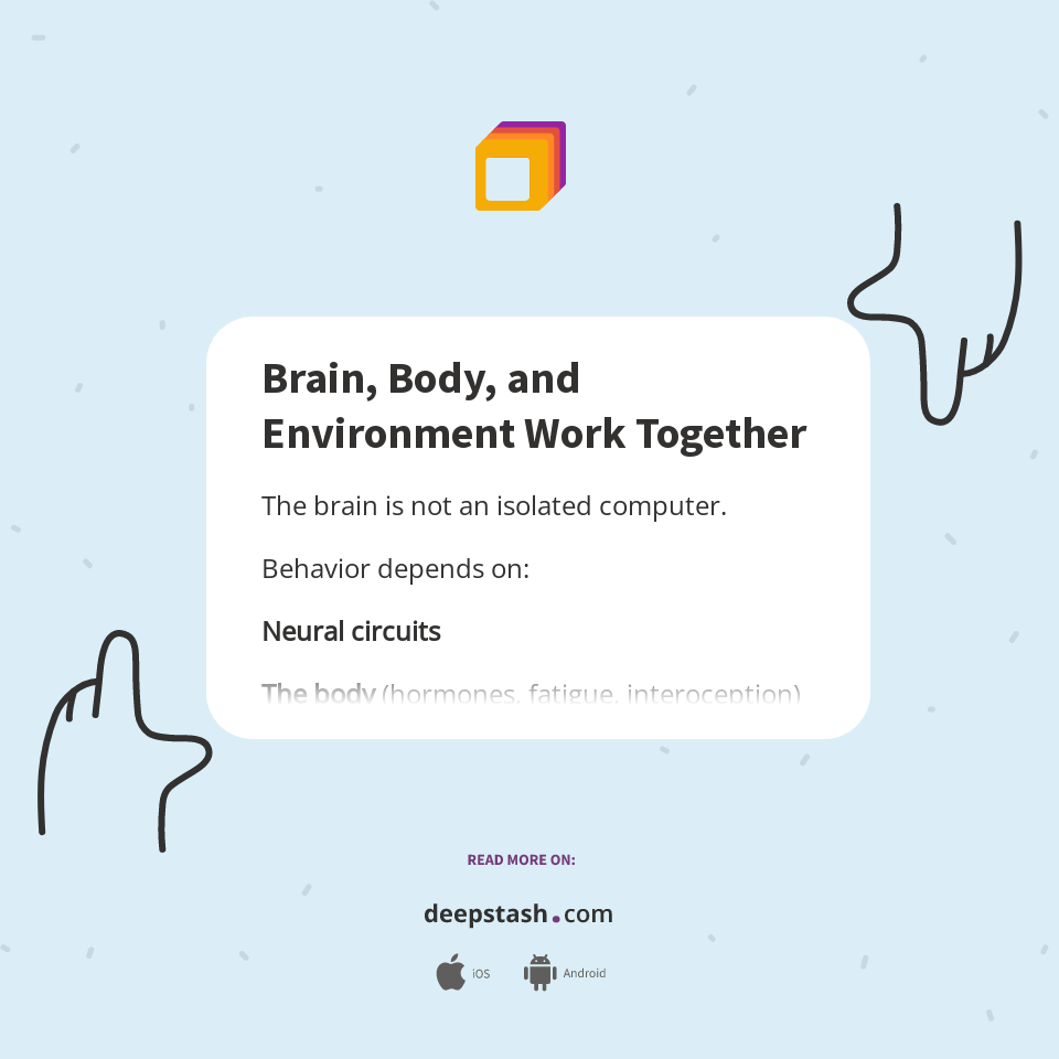 Brain, Body, and Environment Work Together - Deepstash