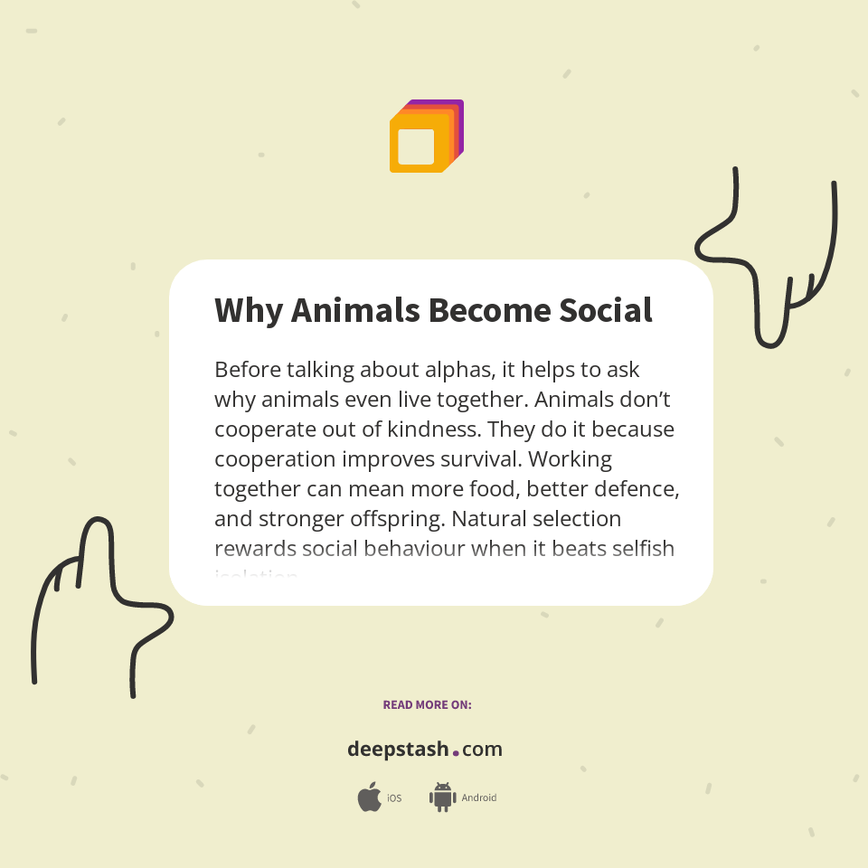 Why Animals Become Social - Deepstash