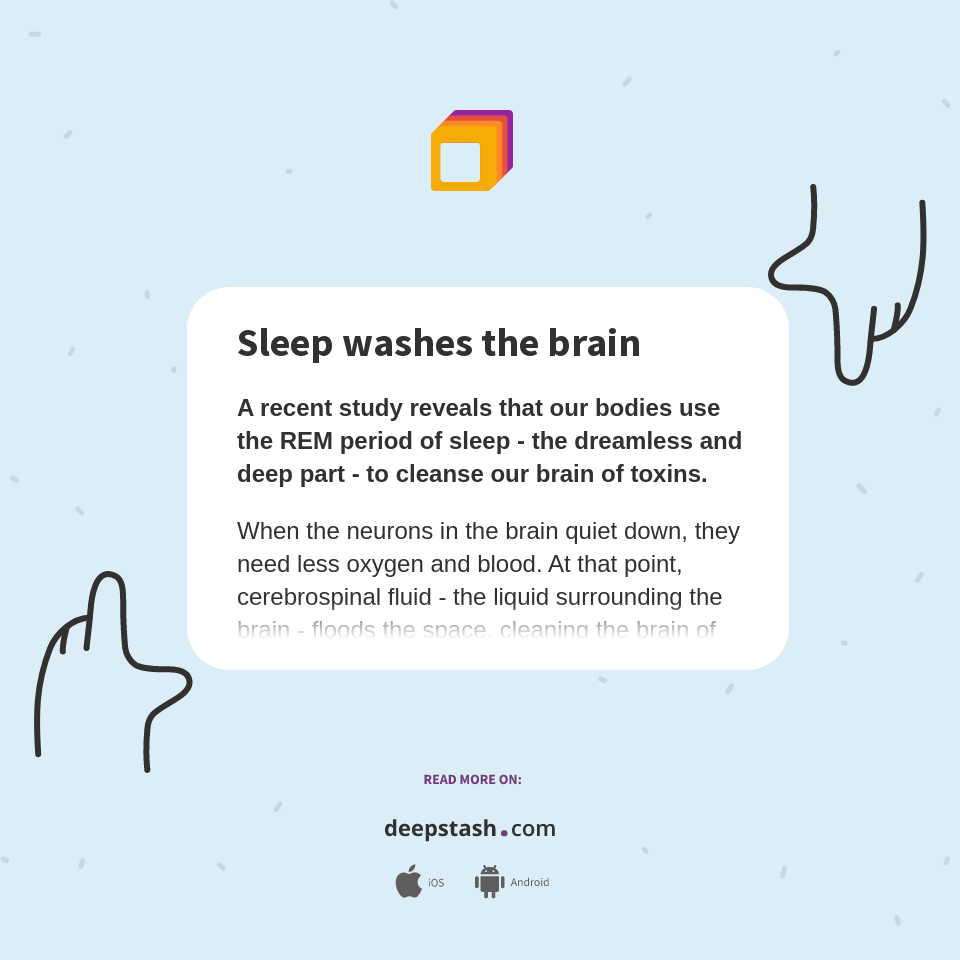 Sleep washes the brain - Deepstash