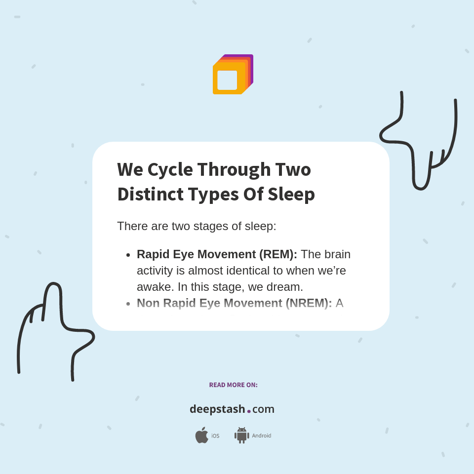 We Cycle Through Two Distinct Types Of Sleep - Deepstash