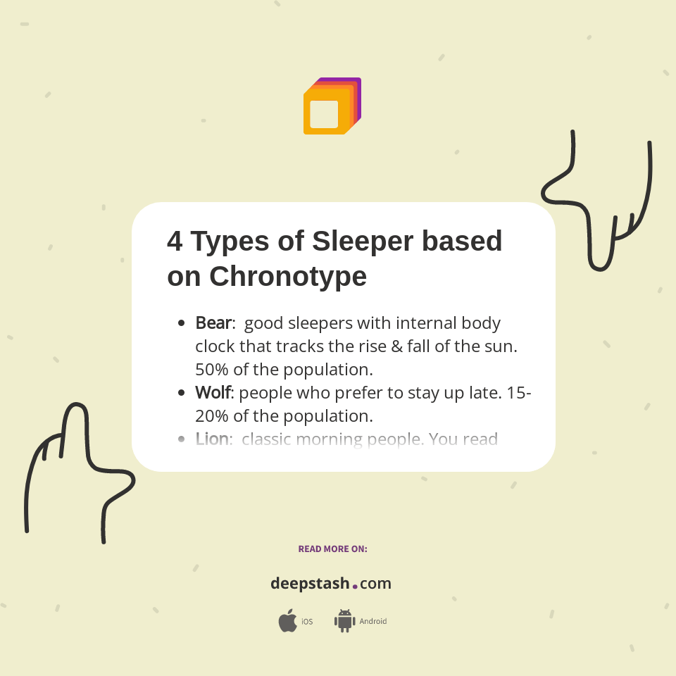 4 Types of Sleeper based on Chronotype - Deepstash