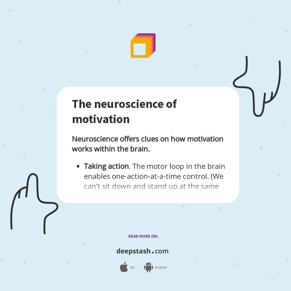 The neuroscience of motivation - Deepstash