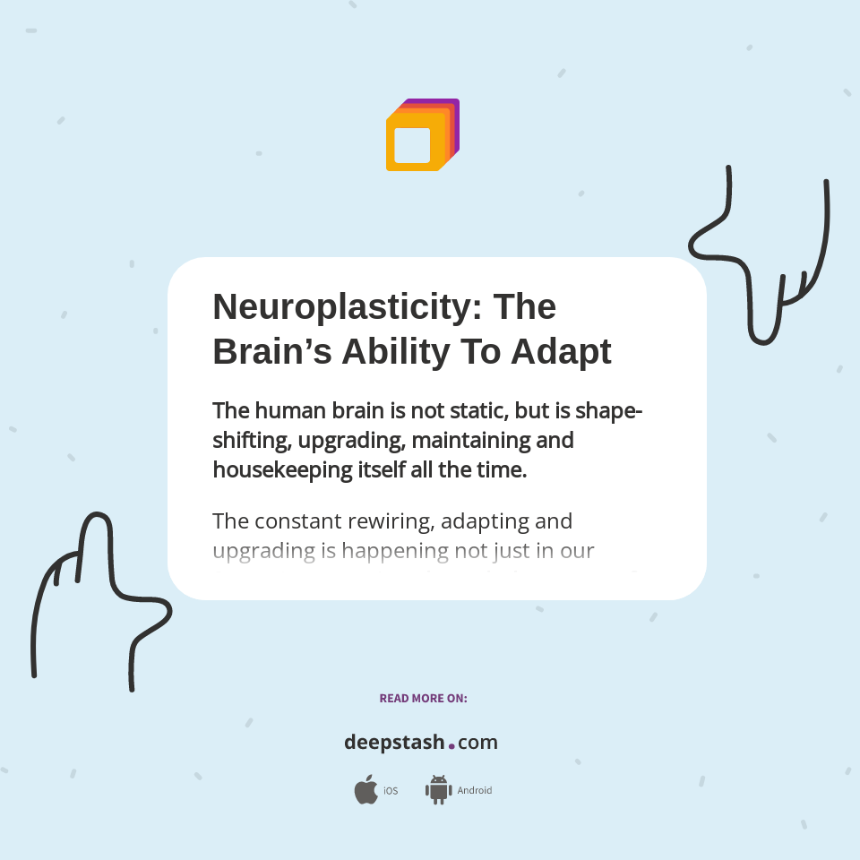 Neuroplasticity: The Brain’s Ability To Adapt - Deepstash