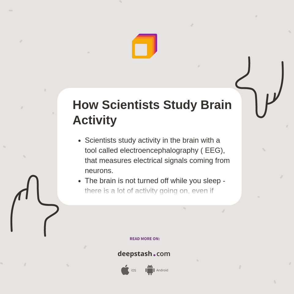 How Scientists Study Brain Activity - Deepstash