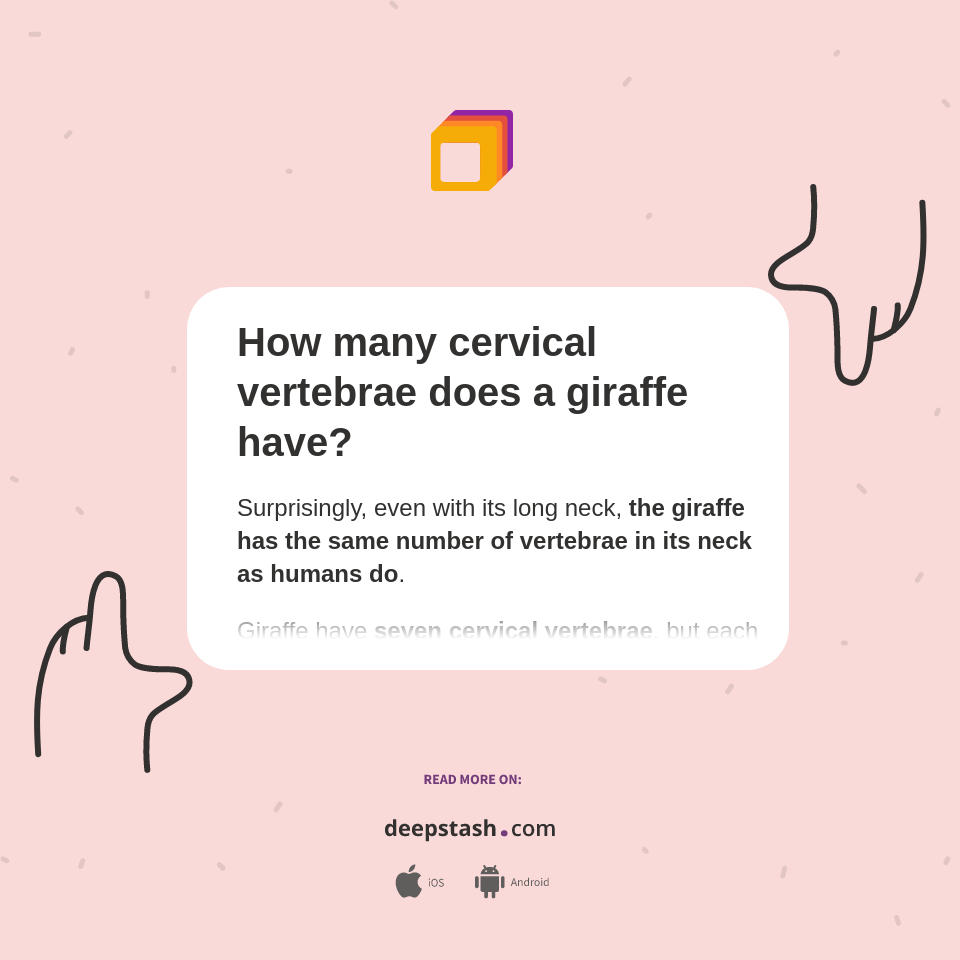 How Many Cervical Vertebrae Does A Giraffe Have Deepstash how-many-cervical-vertebrae-does-a-giraffe-have-deepstash