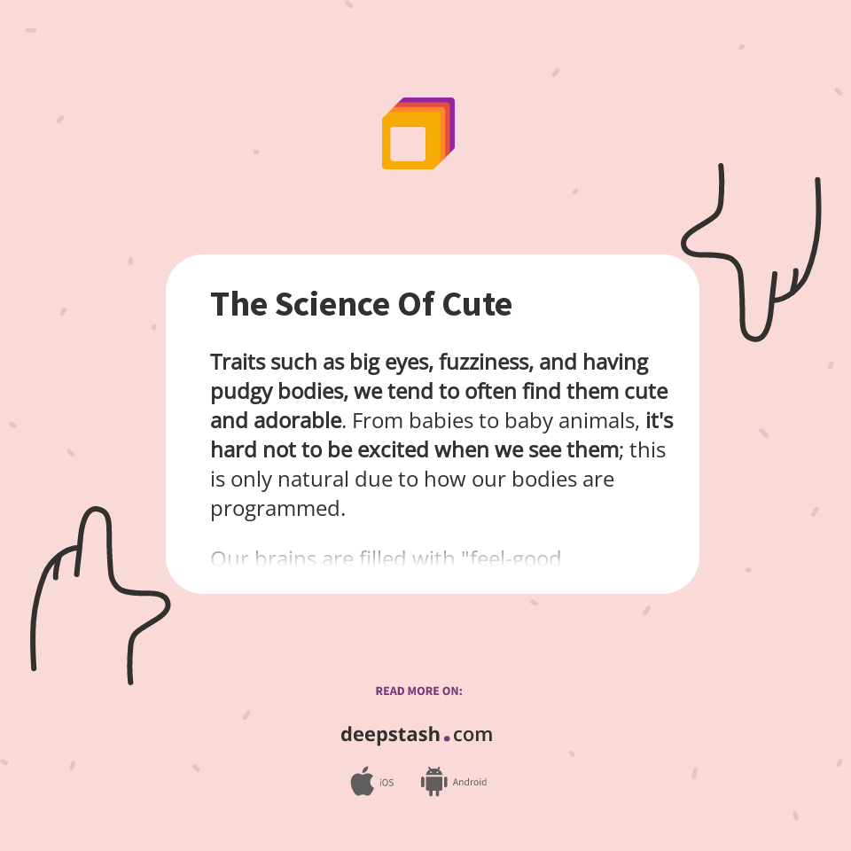 The Science Of Cute - Deepstash