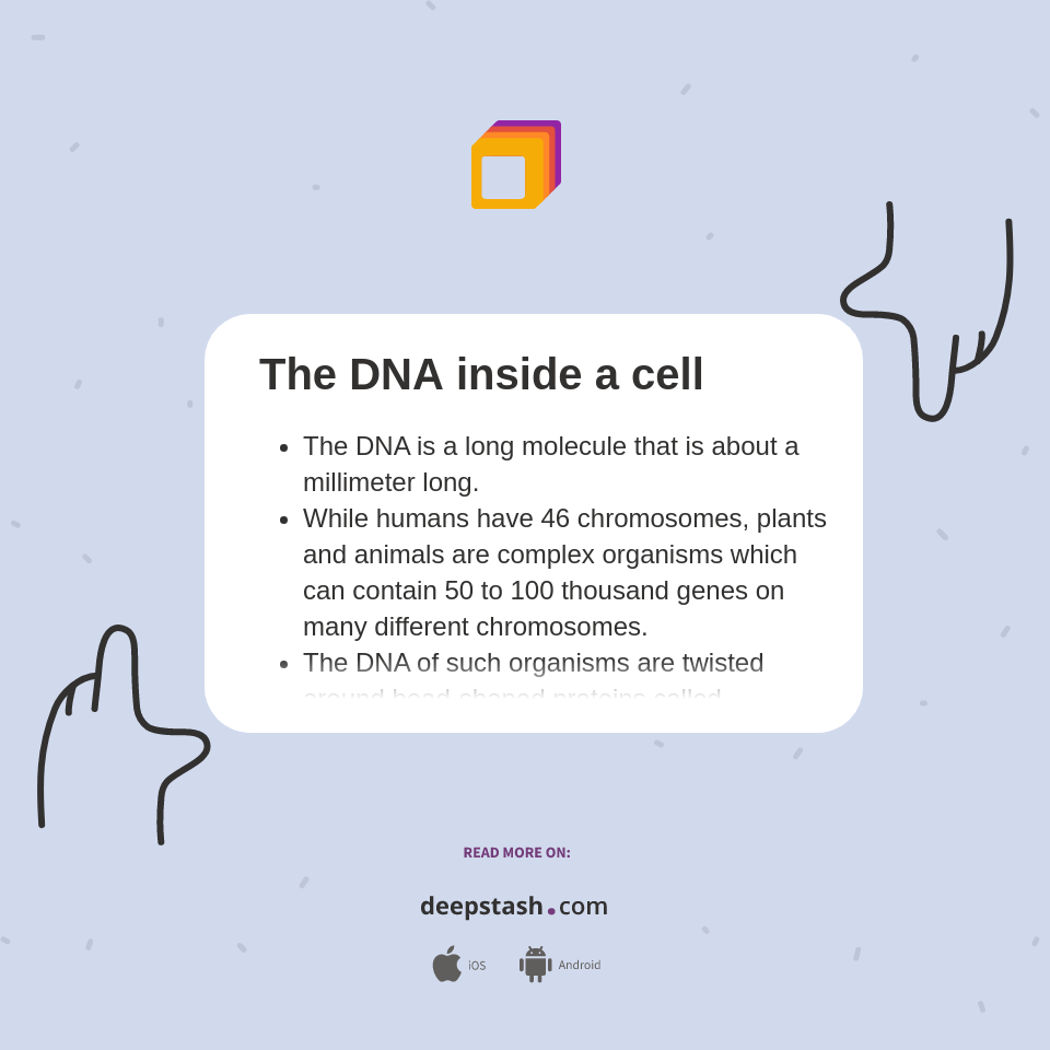 The DNA inside a cell - Deepstash
