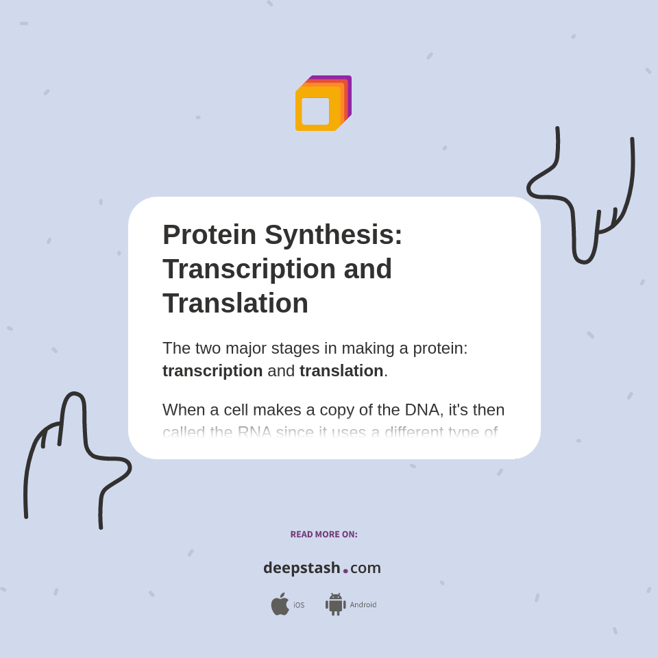 Protein Synthesis: Transcription and Translation - Deepstash