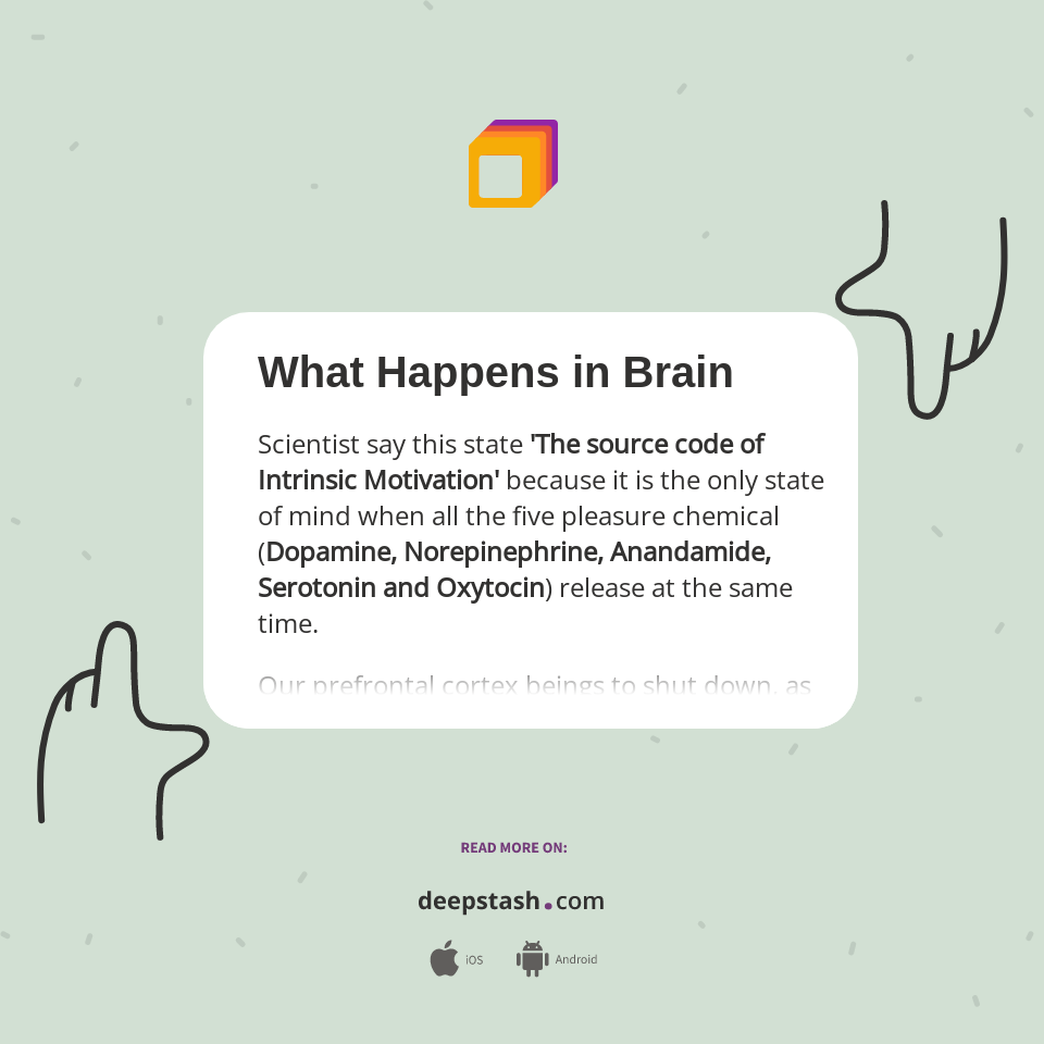 What Happens in Brain - Deepstash