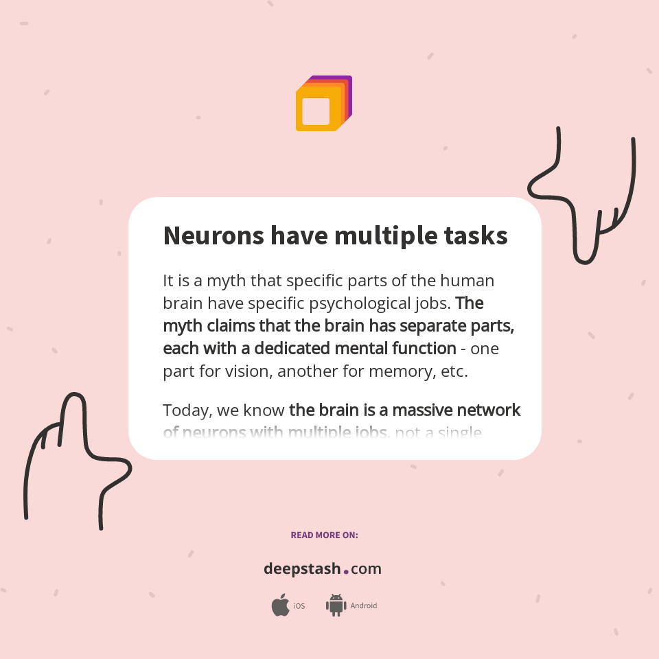 Neurons have multiple tasks - Deepstash