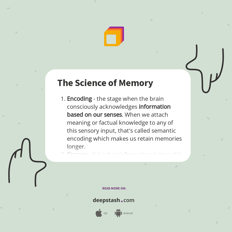 The Science of Memory - Deepstash