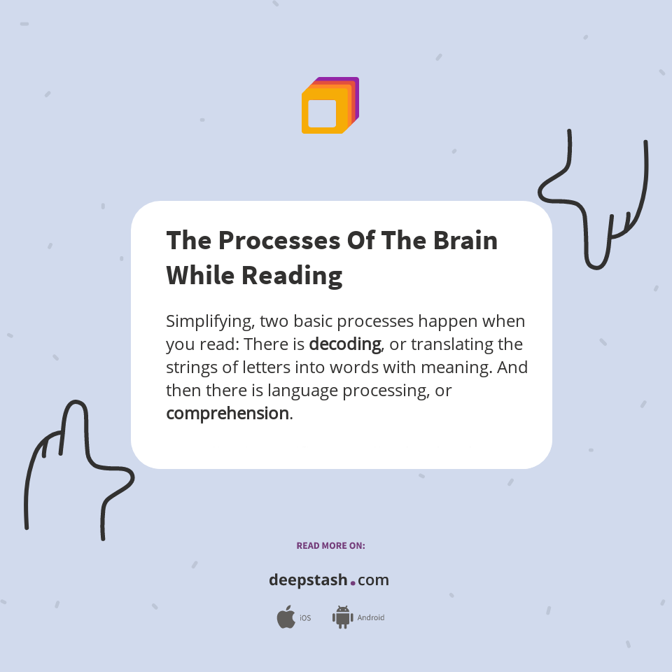 The Processes Of The Brain While Reading - Deepstash
