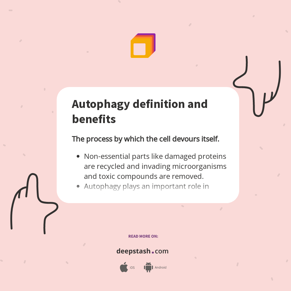 Autophagy definition and benefits - Deepstash