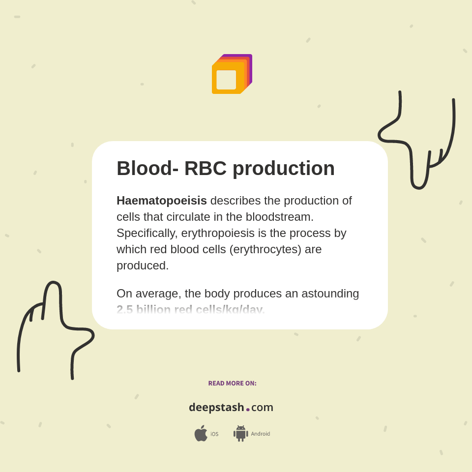 Blood- RBC production - Deepstash