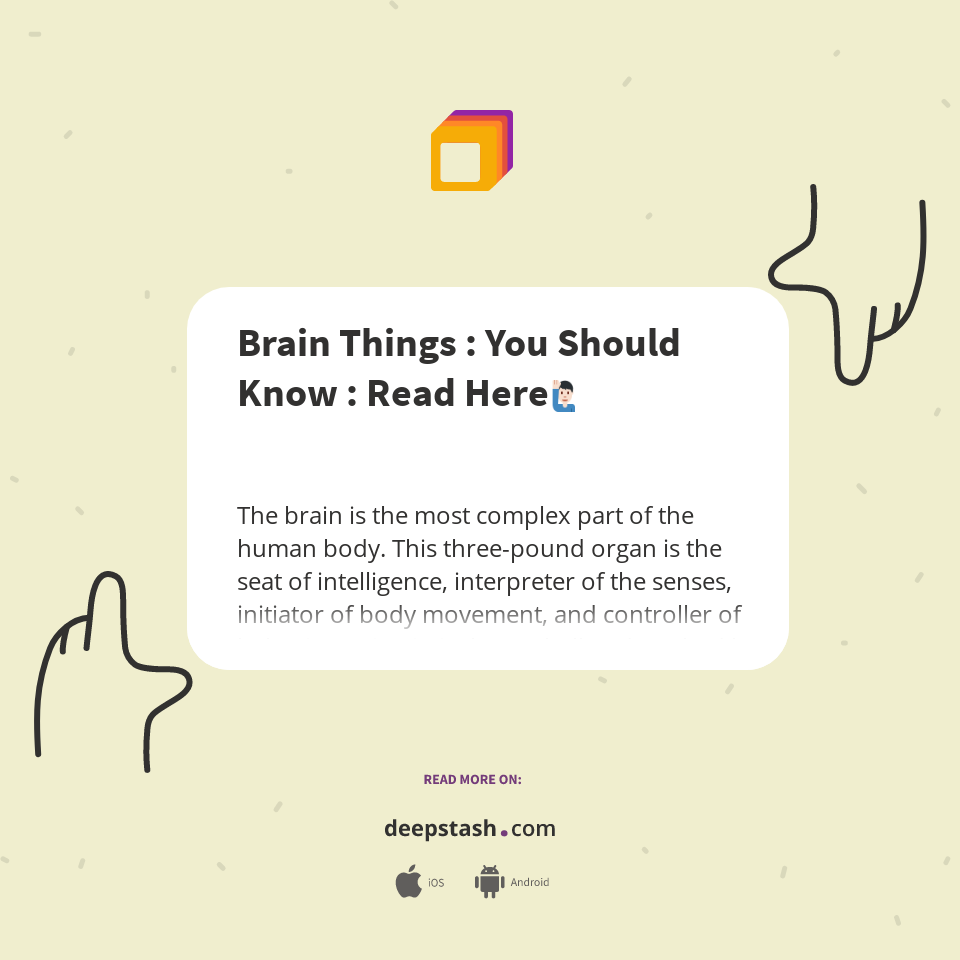 Brain Things : You Should Know : Read Here 🙋🏻‍♂️ - Deepstash