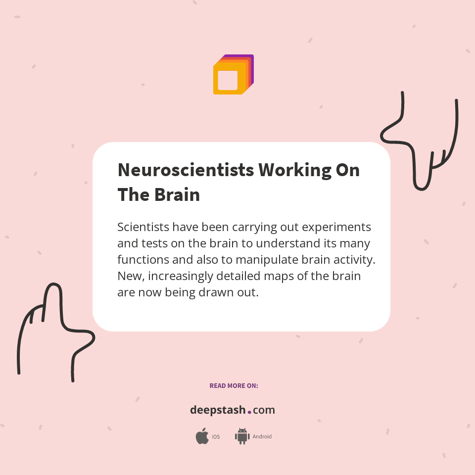 Neuroscientists Working On The Brain - Deepstash