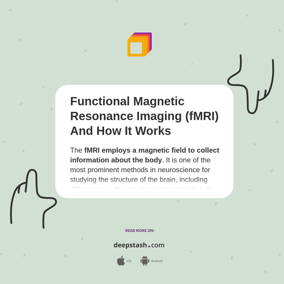 Functional Magnetic Resonance Imaging (fMRI) And How It Works - Deepstash