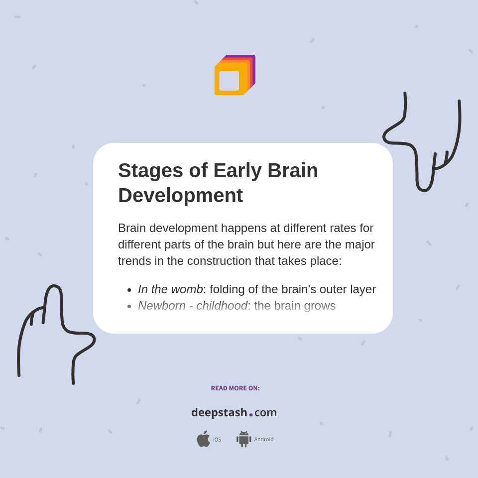 Stages of Early Brain Development - Deepstash