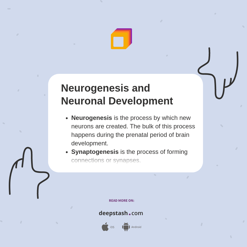 Neurogenesis and Neuronal Development - Deepstash