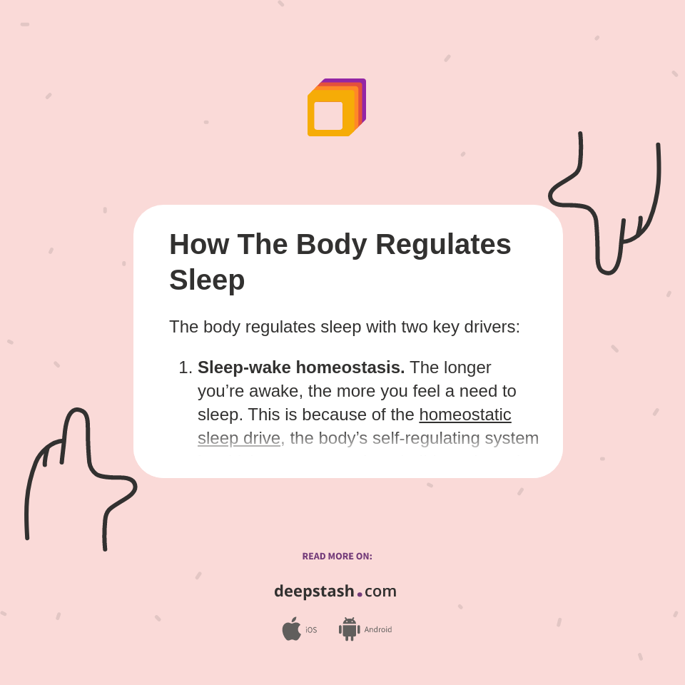 How The Body Regulates Sleep - Deepstash