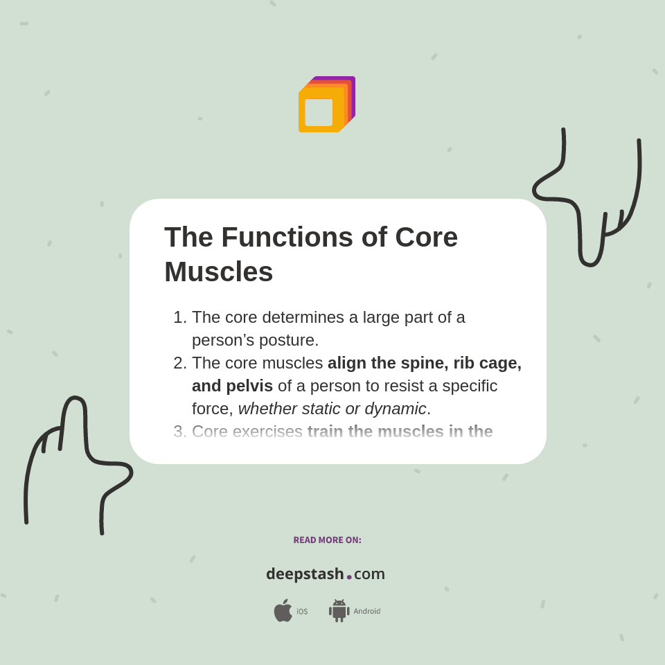 The Functions of Core Muscles - Deepstash