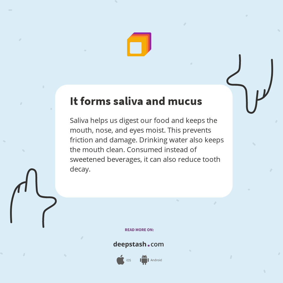 It forms saliva and mucus - Deepstash